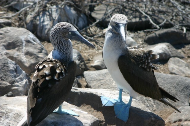 Que Ecuador: Epera Tour! | Turisti per Caso