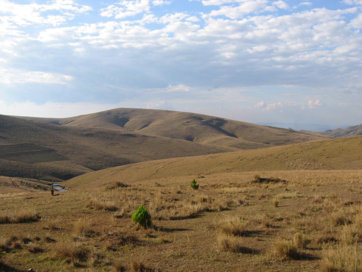 Tonga soa in Madagascar | Turisti per Caso