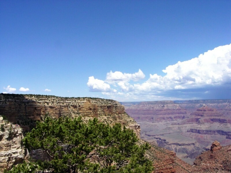 USA : Tutti i parchi del Sud/Ovest di o quasi | Turisti per Caso
