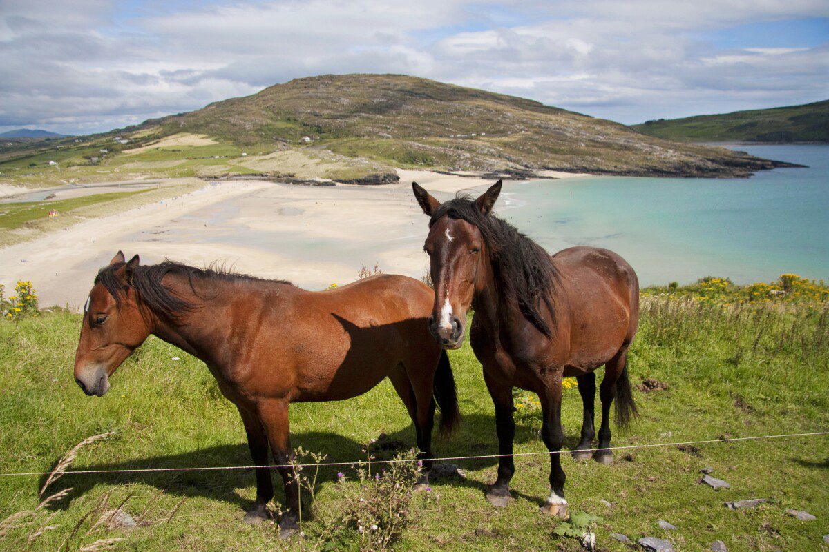 Eire & Ulster in 50 sfumature di verde! | Turisti per Caso