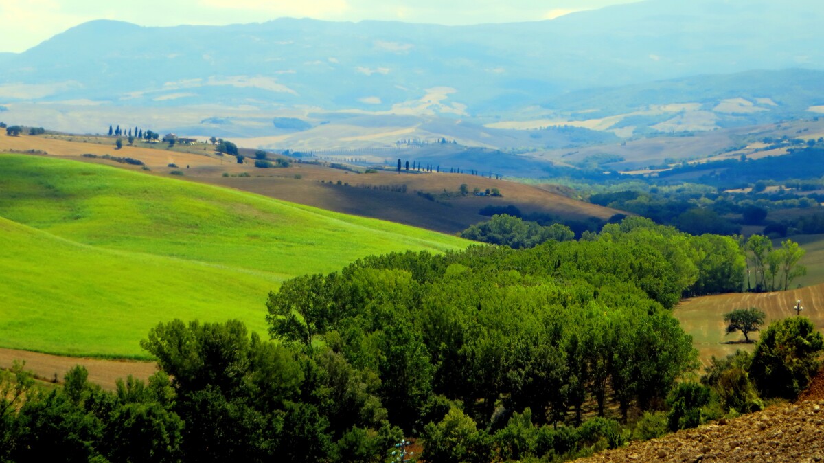 Val d'Orcia e Val d'Elsa | Turisti per Caso
