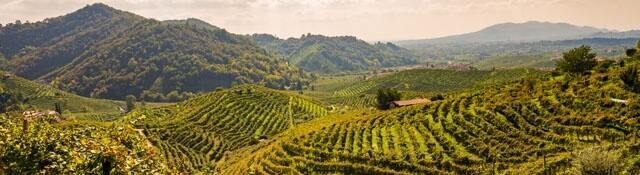 Le Colline del Prosecco di Conegliano e Valdobbiadene, scoprendo la ...