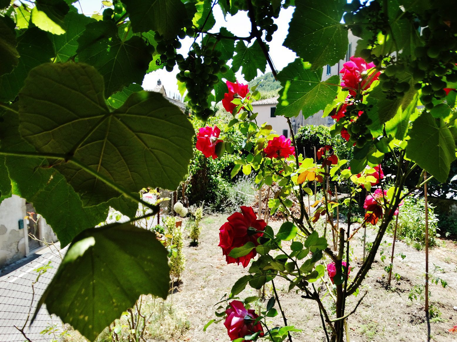 Dalle miniere alla rivoluzione geotermica: in Toscana il 'borgo delle ...