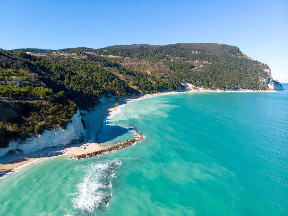 La bontà che viene dal mare, ma non è pesce | Turisti per Caso